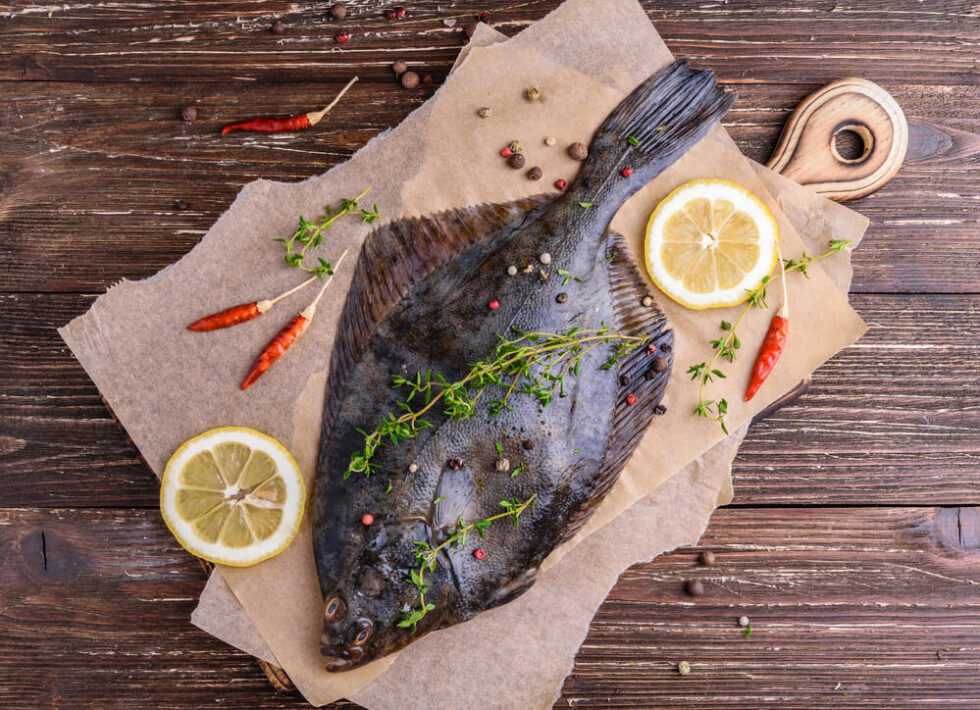 Flounder Gigging in Corpus Christi | Sunset Ridge RV Resort